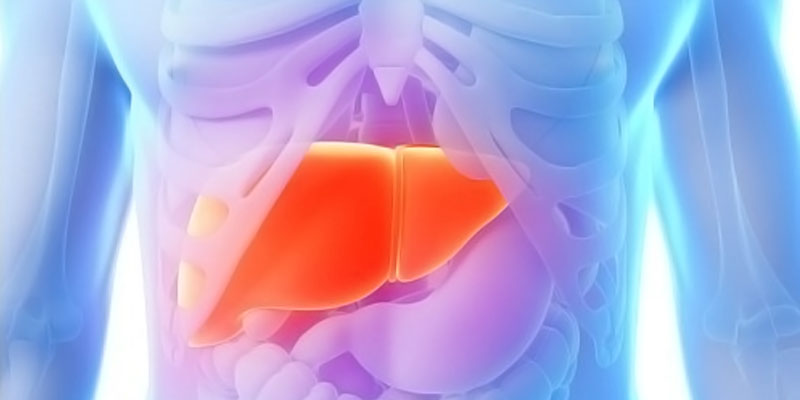 ALIMENTOS PARA CONSEGUIR UN HÍGADO SANO – Solnaturaleza